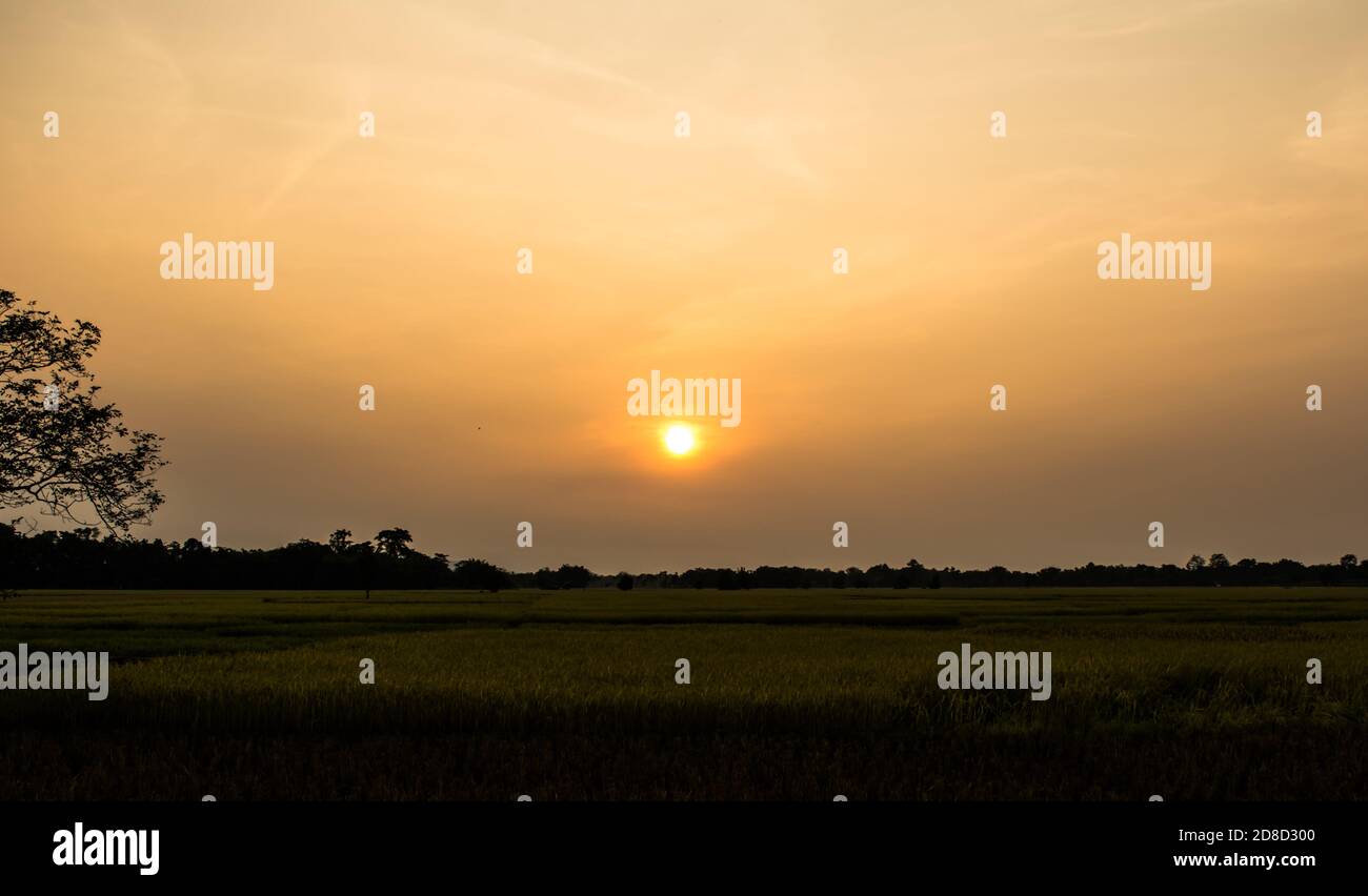Sunset or Sunrise View at Kaziranga National Park of Assam, India Stock ...