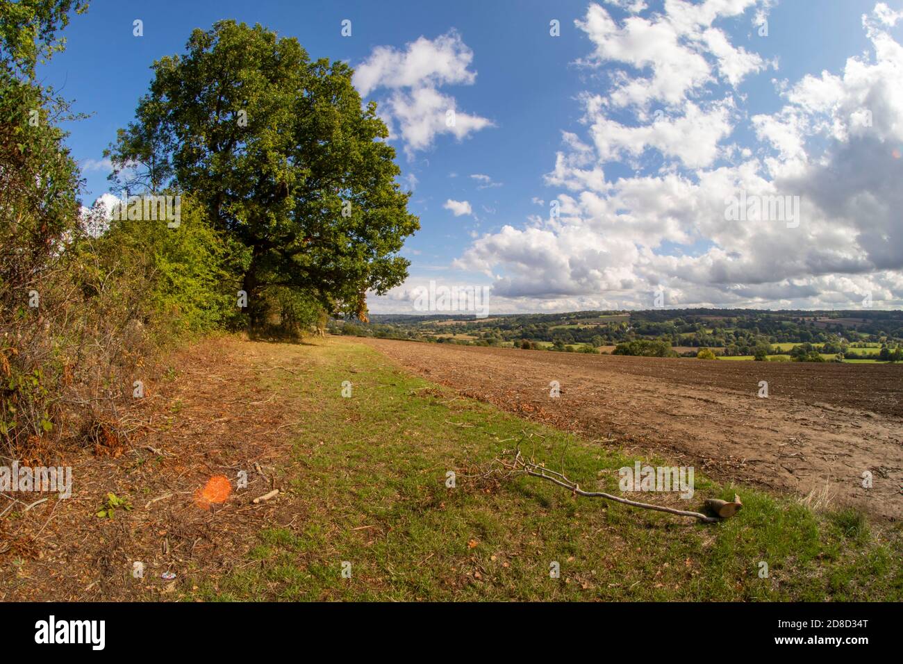 Panoramic landscape with woodland copse and summer blue sky Stock Photo ...