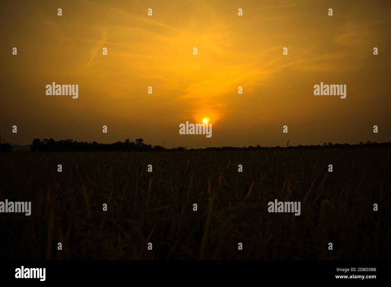 Sunset or Sunrise View at Kaziranga National Park of Assam, India Stock ...