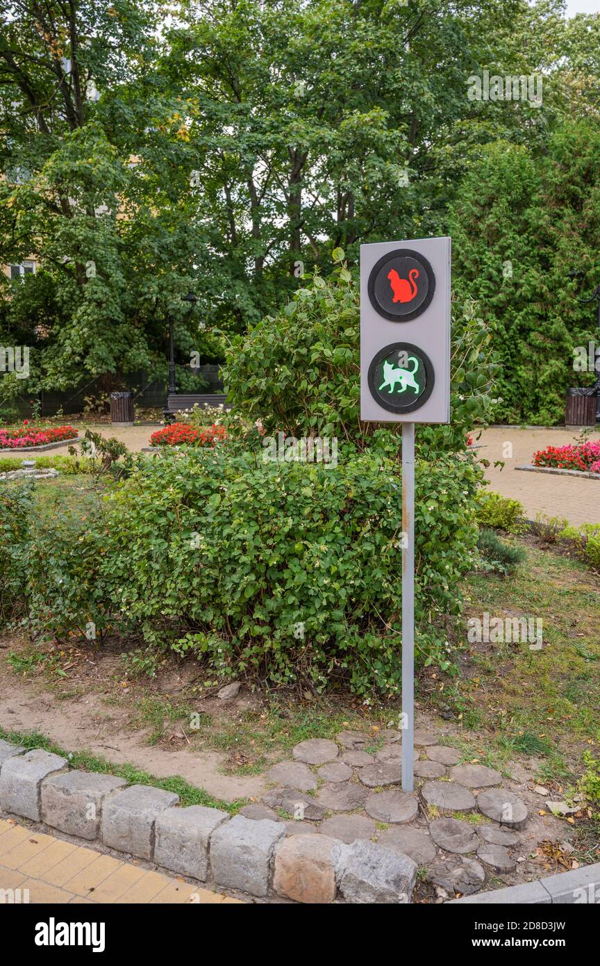 Traffic light in the park symbols of cats on the emitters, Zelenogradsk ...