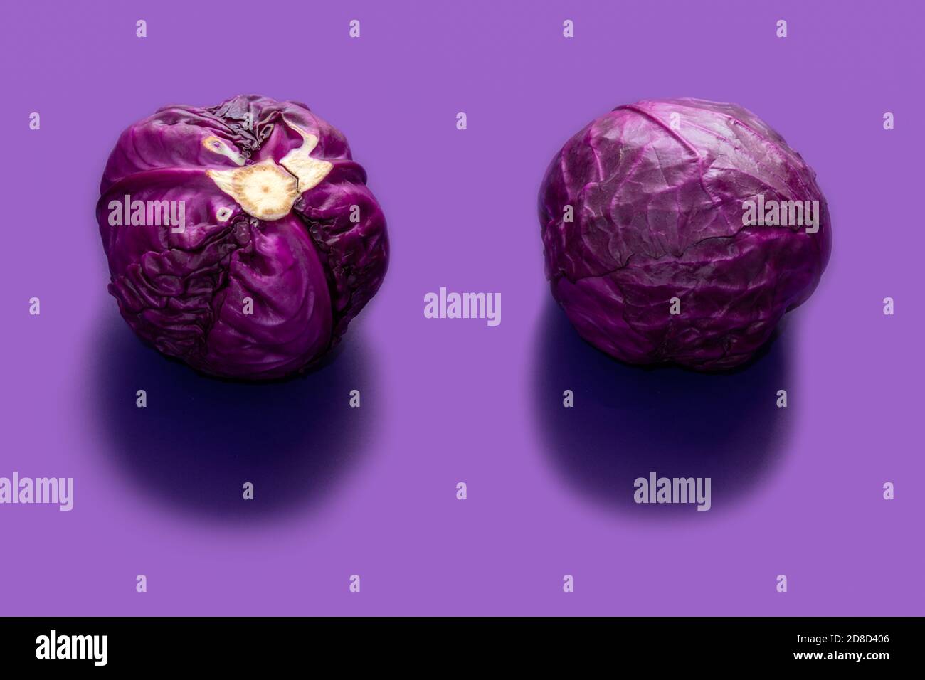 Fresh raw red cabbage against the blue/violet background Stock Photo ...