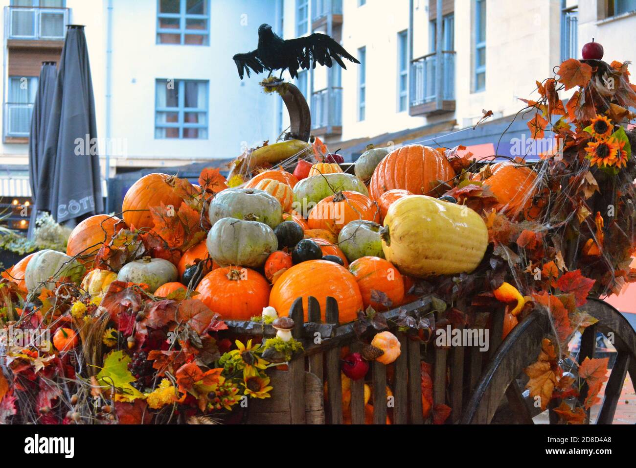 Autumn decoration on the street in Bristol city centre Stock Photo - Alamy