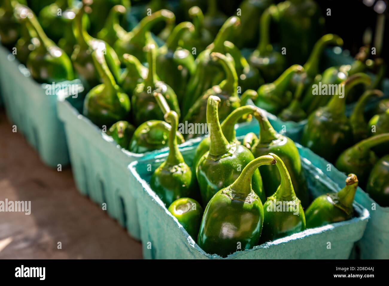 Punnets of green chilli peppers for sale on a farmers market stall ...