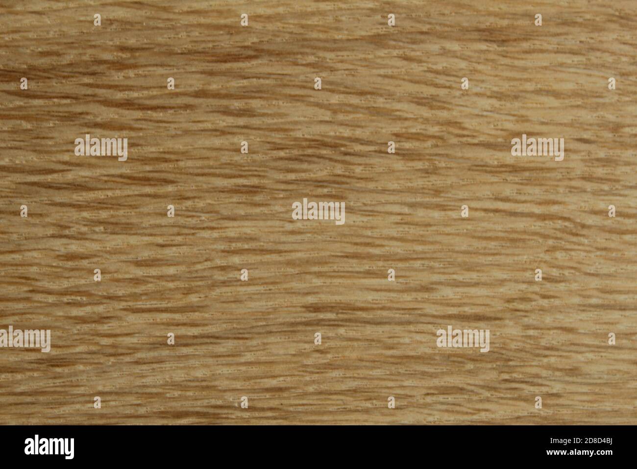 texture background natural wood stripe light wood oak pine Stock Photo ...