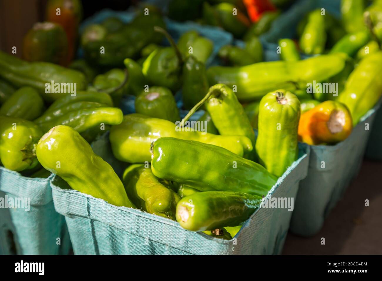 Punnets of green chilli peppers for sale on a farmers market stall ...