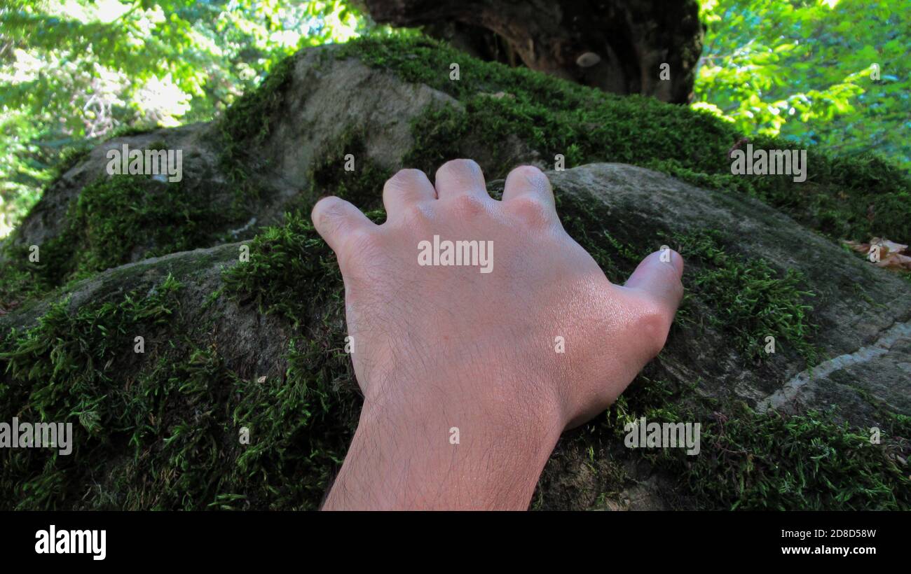 Young male, man hand touching river rock stone covered with green plant ...