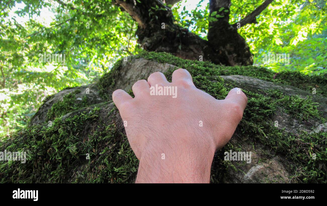 Young male, man hand touching river rock stone covered with green plant ...