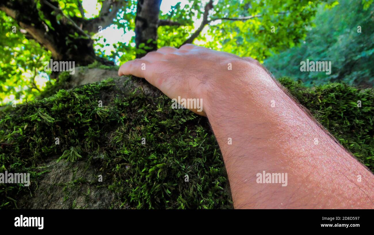 Hand touching stone hi-res stock photography and images - Alamy