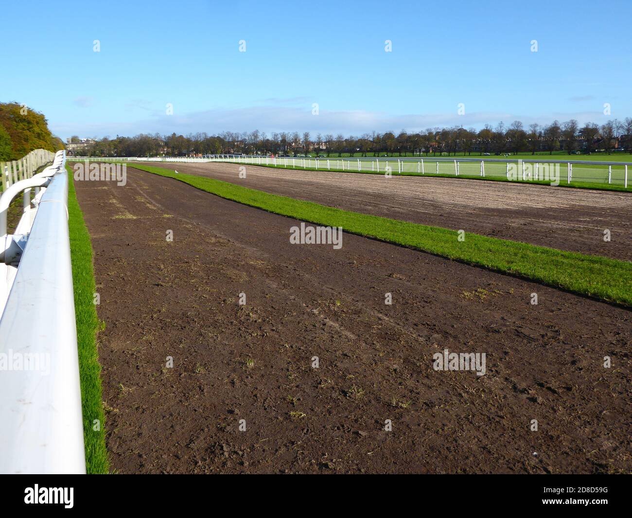 view of spectacular race track, including white railings and grass with ...