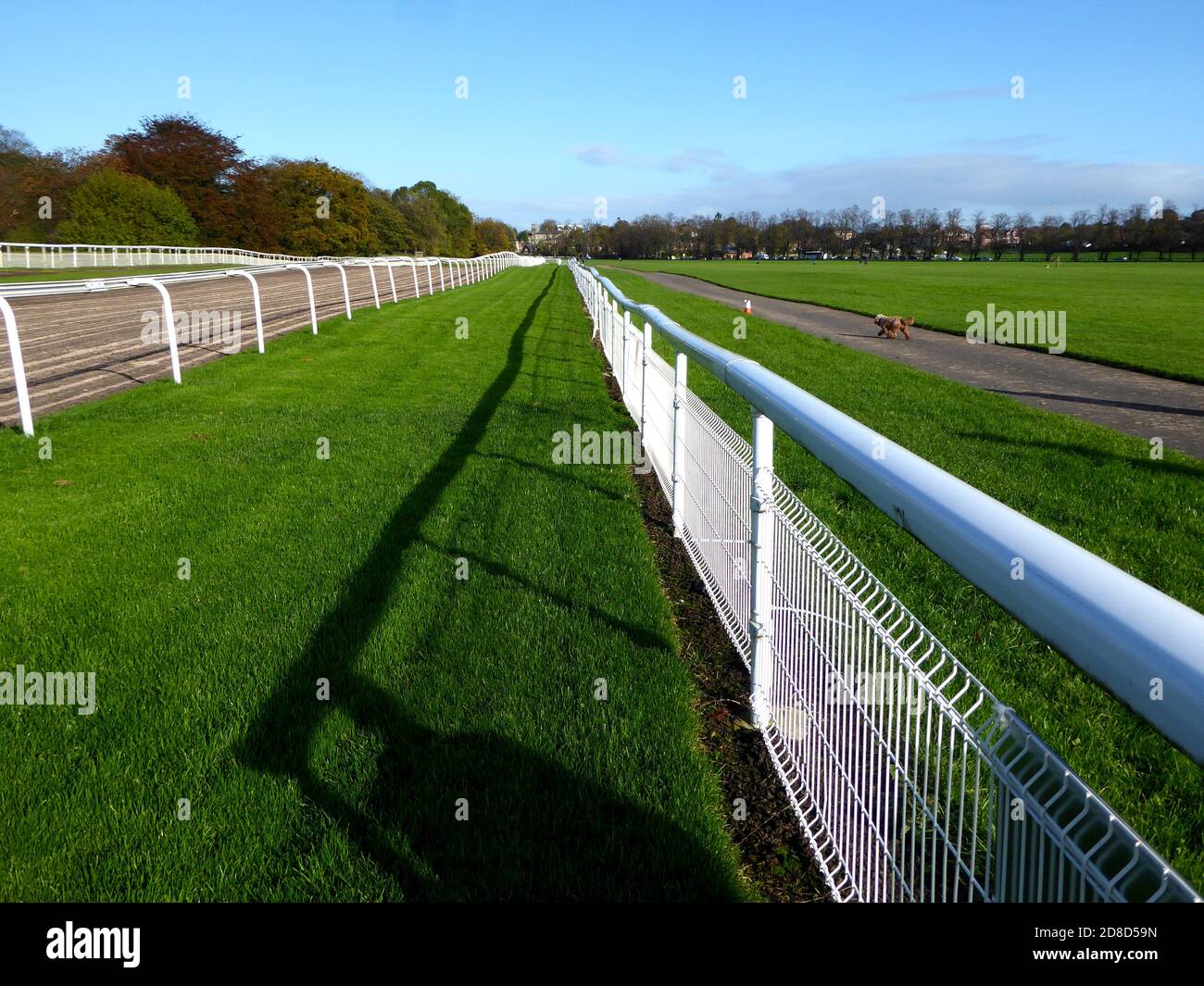view of spectacular race track, including white railings and grass with ...