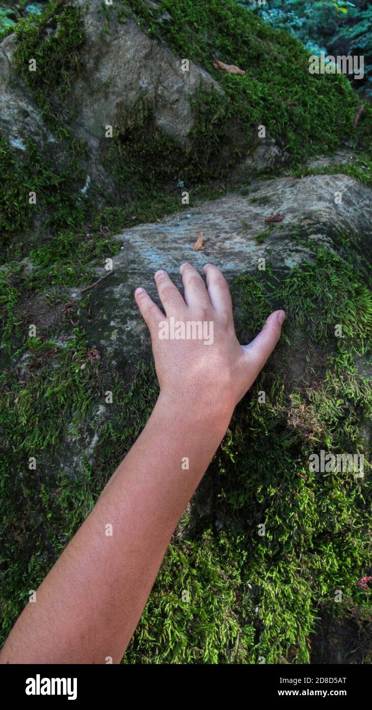 Young child hand touching river rock stone covered with green plant ...