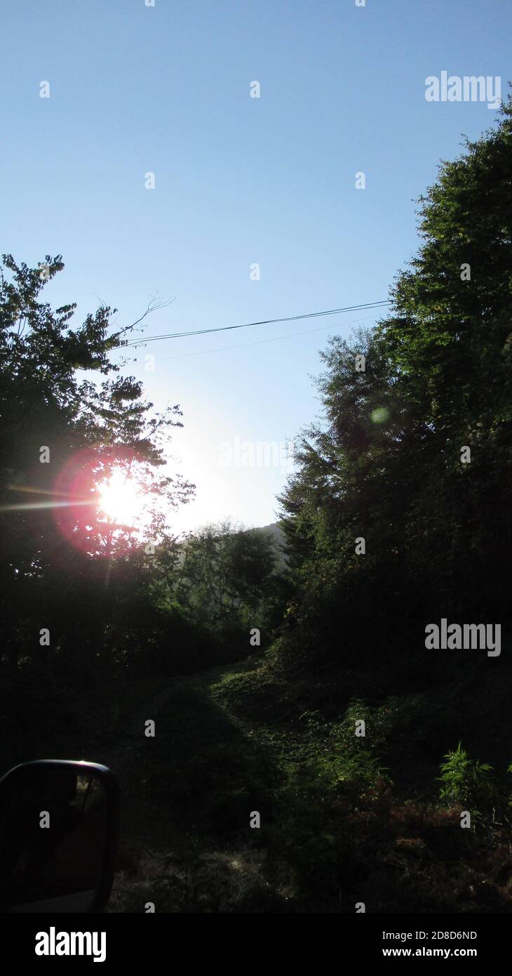 Sun light coming from the behind of trees in a caucasian forest Stock ...