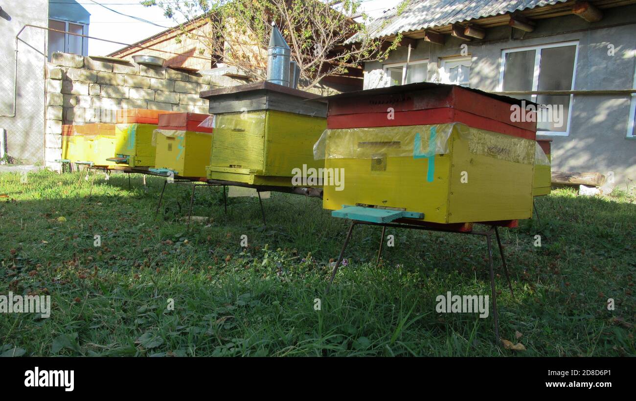 Honey bee boxes hi-res stock photography and images - Alamy