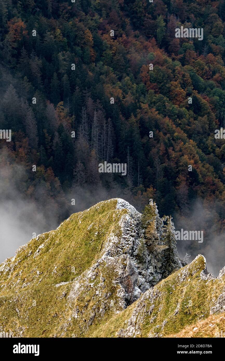 Back forest ridge in peak hi-res stock photography and images - Alamy