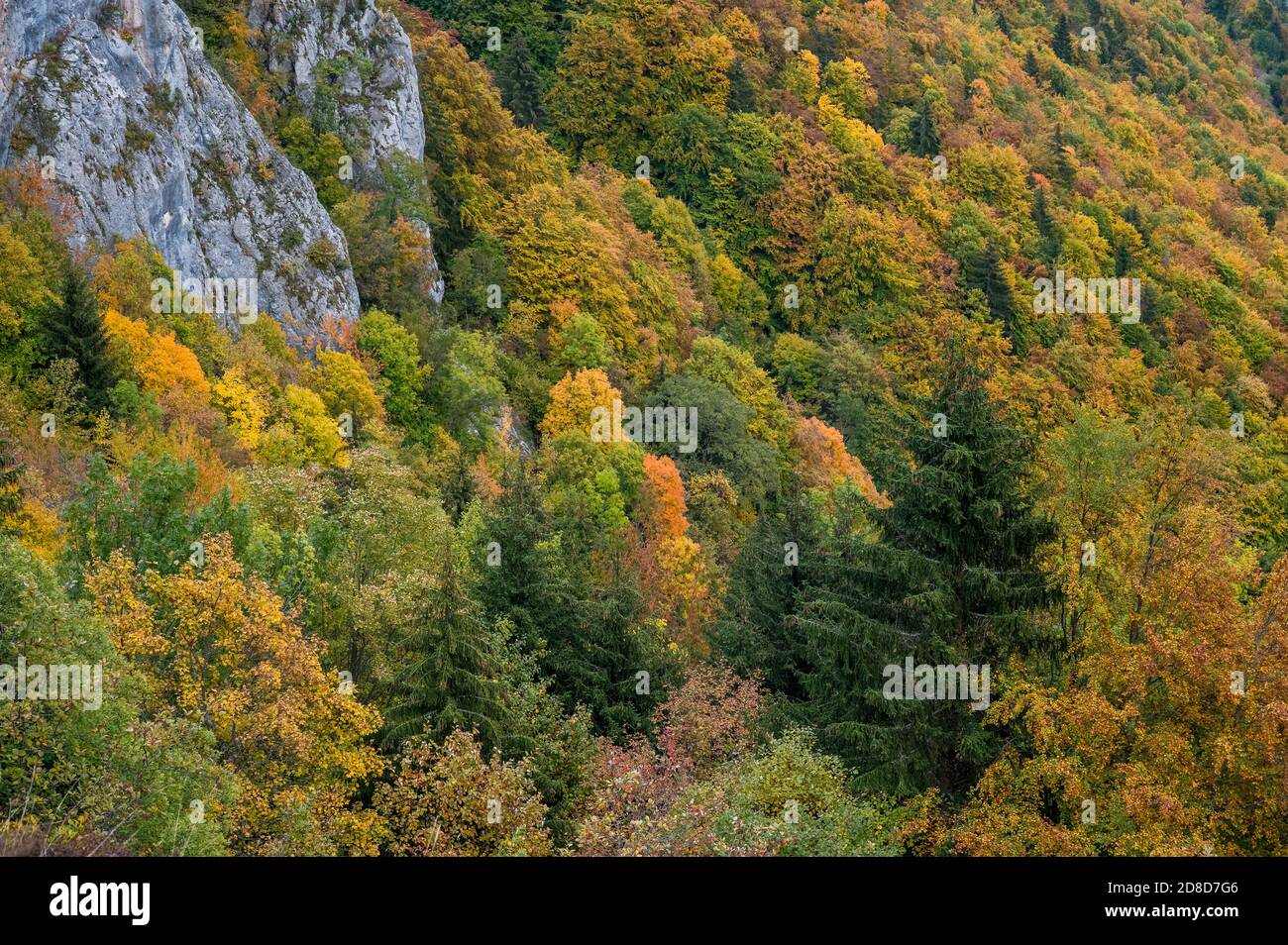 Valaisan hi-res stock photography and images - Alamy