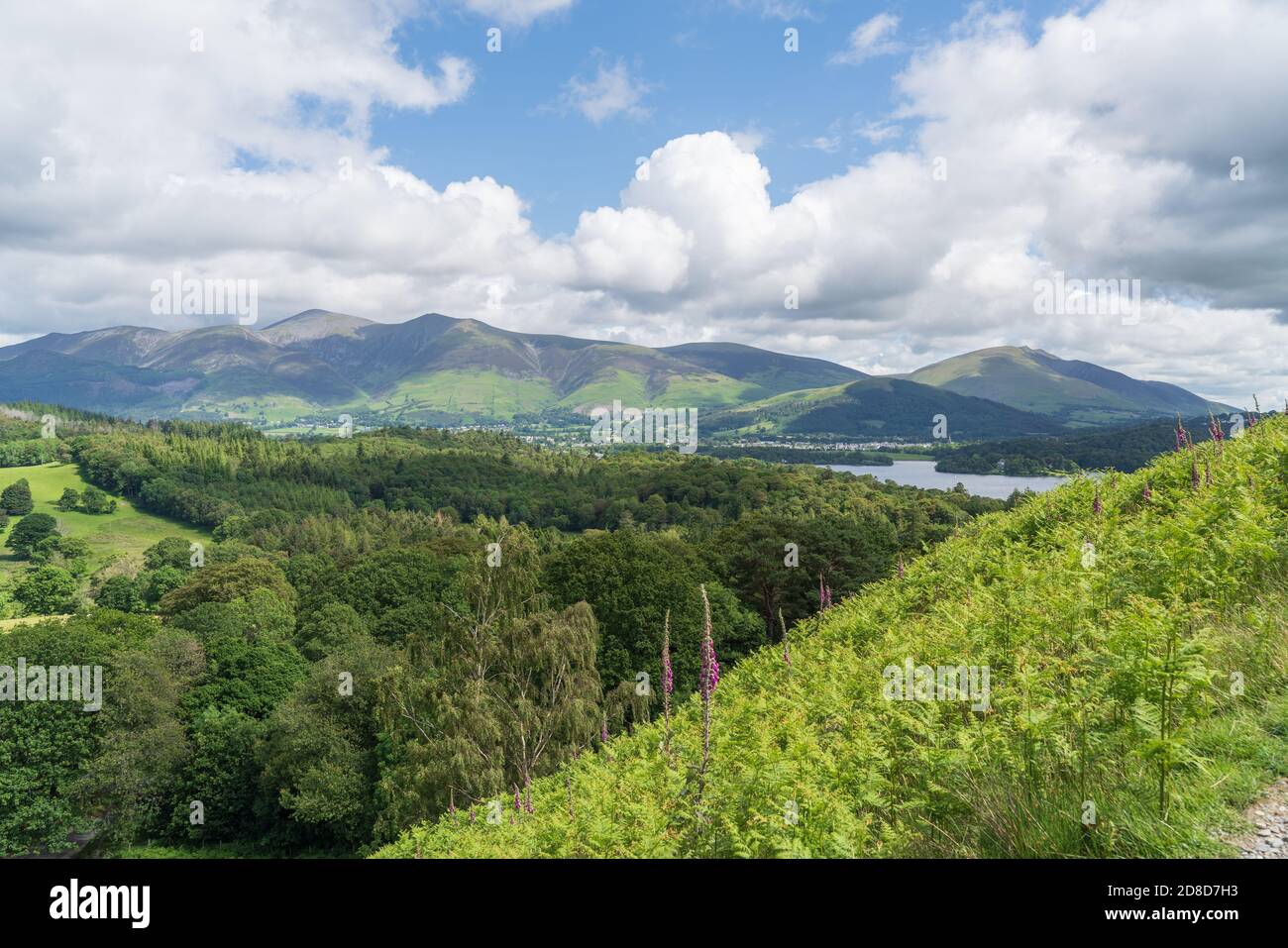 Rolling Hills of the Lake District, Cumbria, England, UK Stock Photo ...