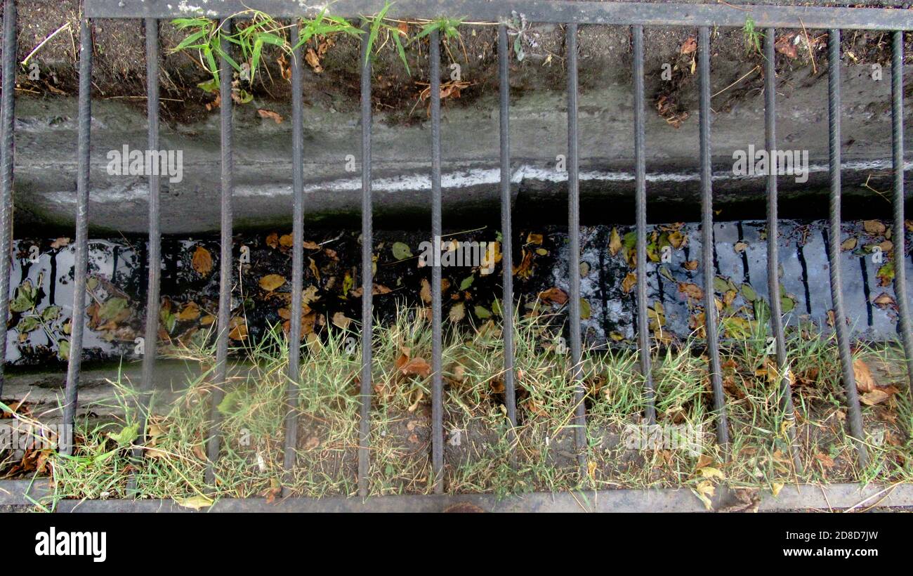 Stained steel grill sewer cover or sewage drain cover, on public ...