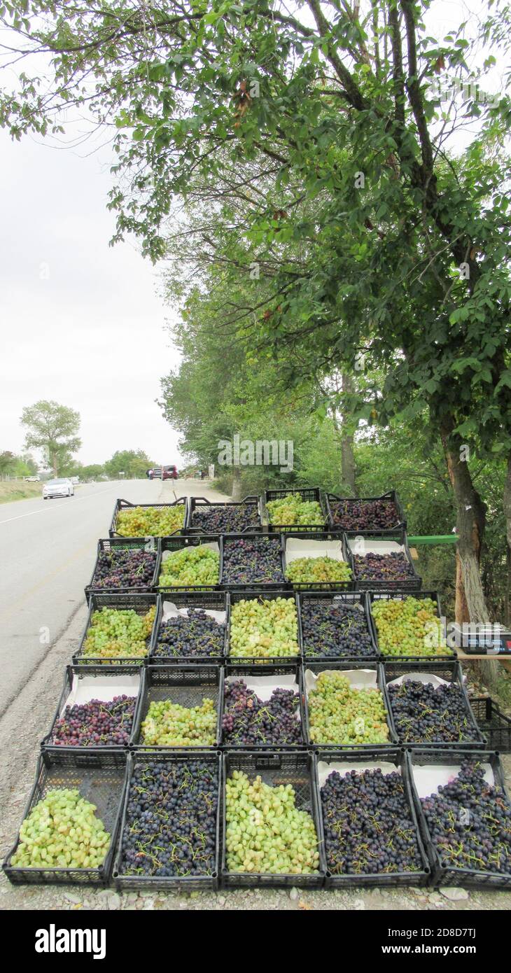 Grapes plastic box hi-res stock photography and images - Alamy