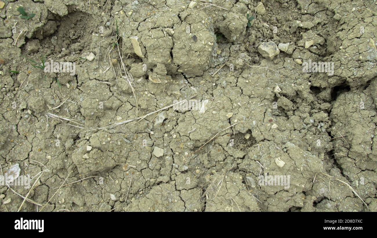 Drought, dry, cracked soil, no rain, natural disaster Stock Photo - Alamy