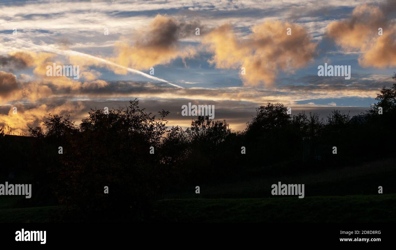 Stripes in nature hi-res stock photography and images - Alamy