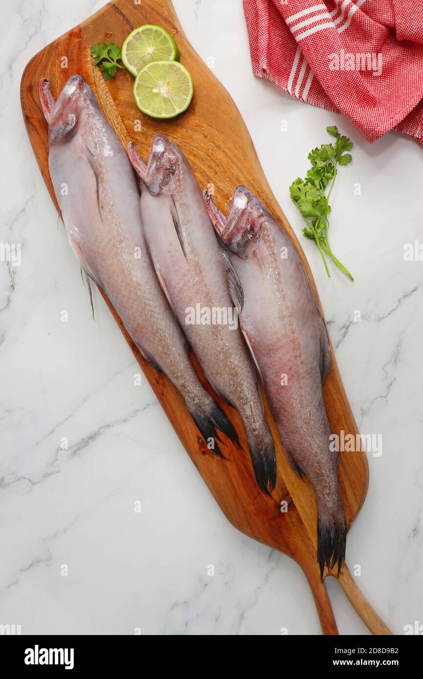 Bombil fish hi-res stock photography and images - Alamy