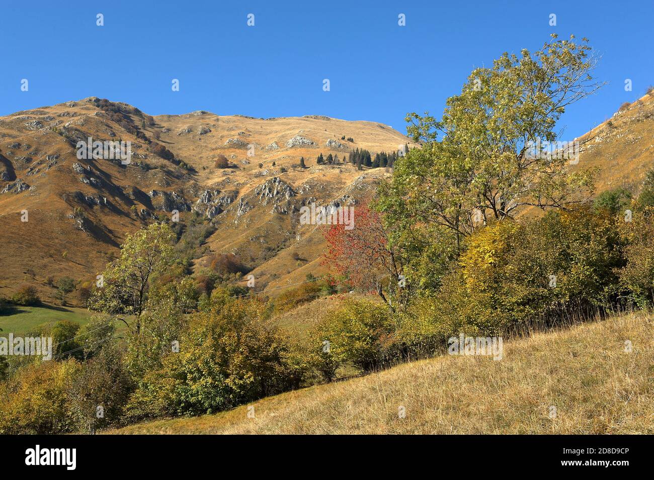 Colori autunnali hi-res stock photography and images - Alamy