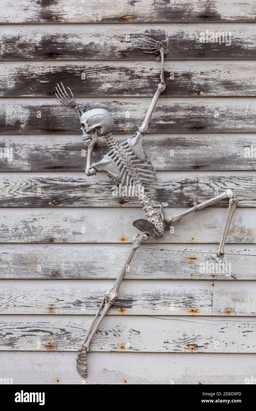 Skeletons, Haunted House, Halloween, USA, by James D Coppinger ...
