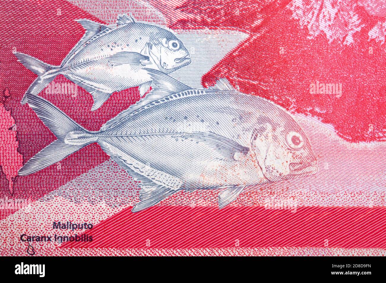 Raw trevally fish hi-res stock photography and images - Alamy