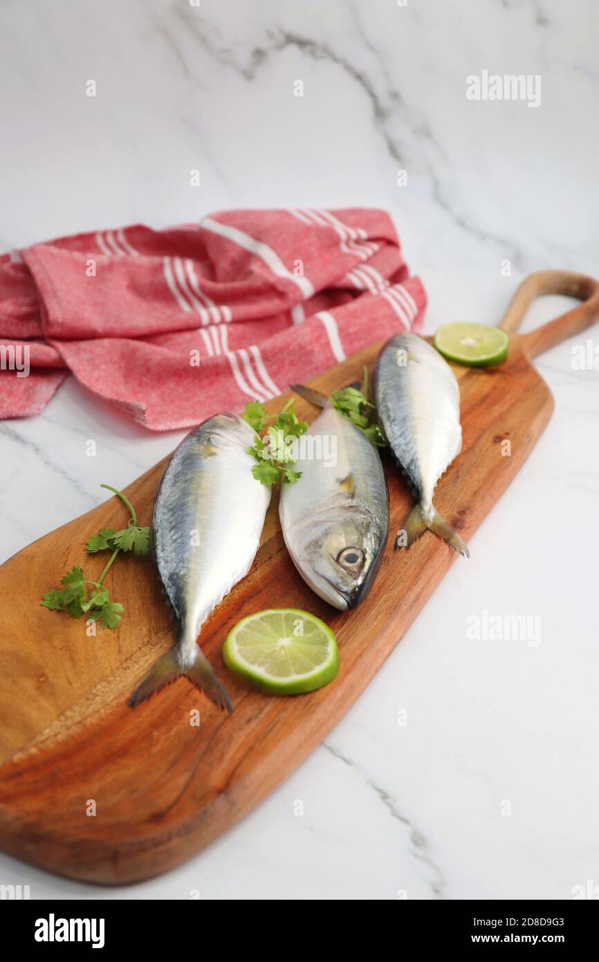 Bangda fish hi-res stock photography and images - Alamy