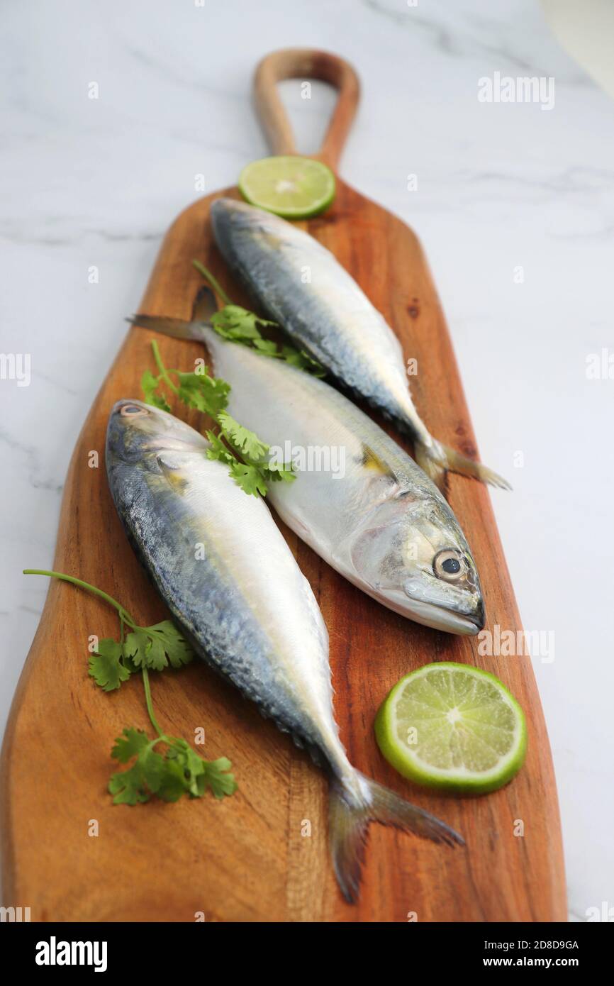 Uncooked Indian mackerel fish Rastrelliger kanagurta. also known as ...