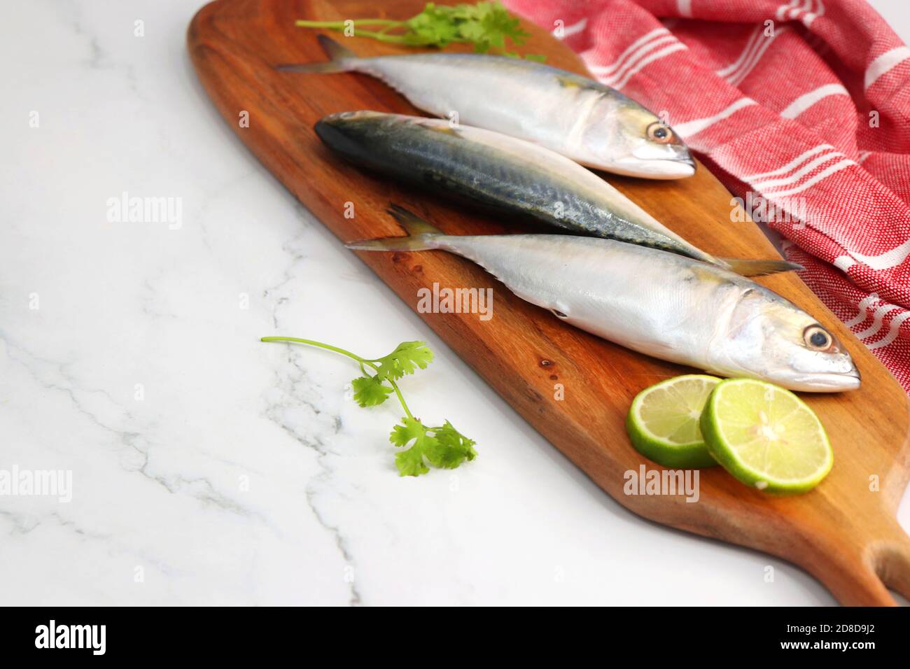Bangda Fish High Resolution Stock Photography and Images - Alamy