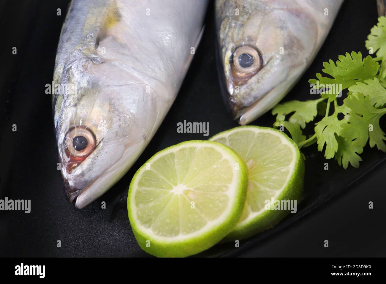 Uncooked Indian mackerel fish Rastrelliger kanagurta. also known as ...