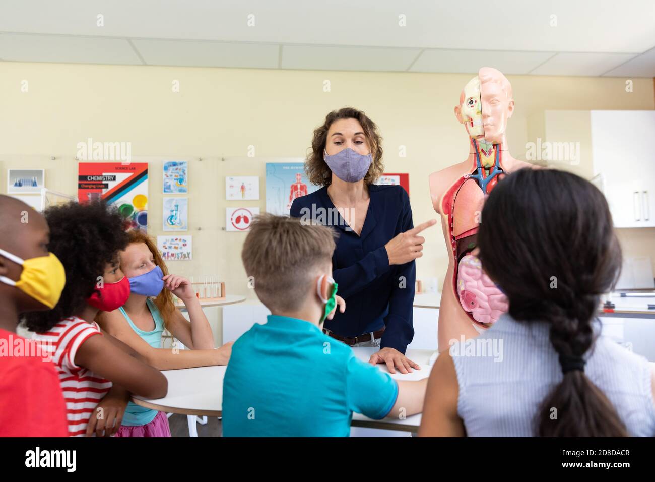 Female teacher wearing face mask using human anatomy model to teach ...