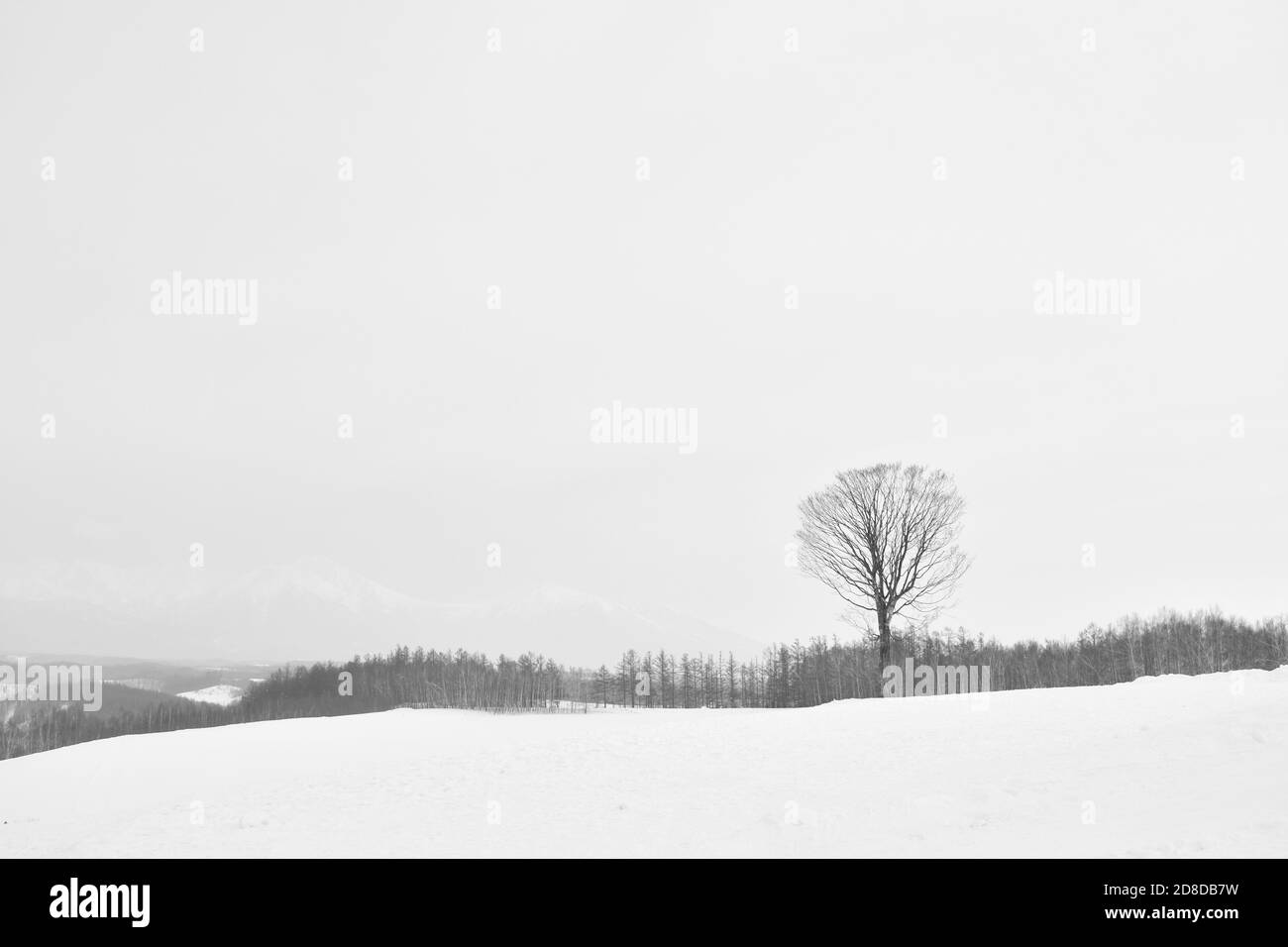 landscape of snow field on mountain in Hokkaido Japan Stock Photo - Alamy