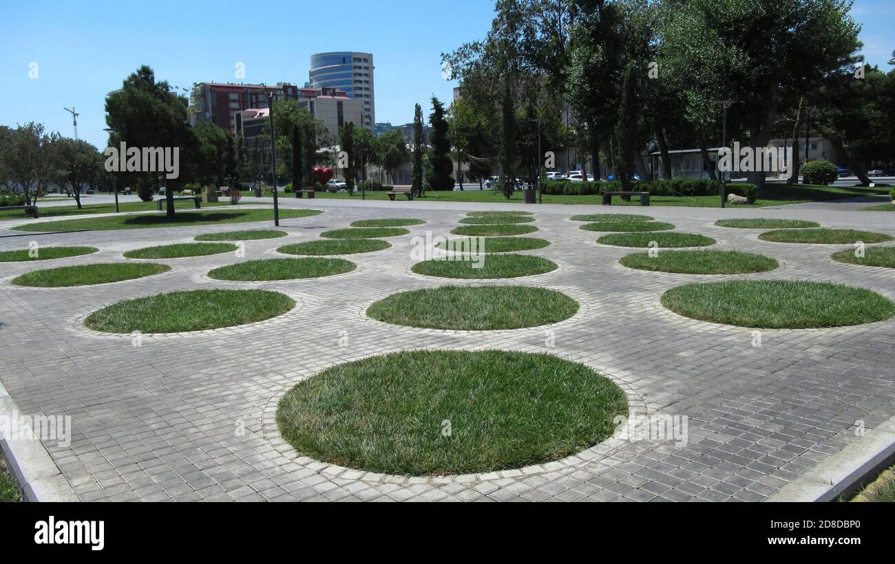 Oval shaped grasses on the central park Stock Photo - Alamy