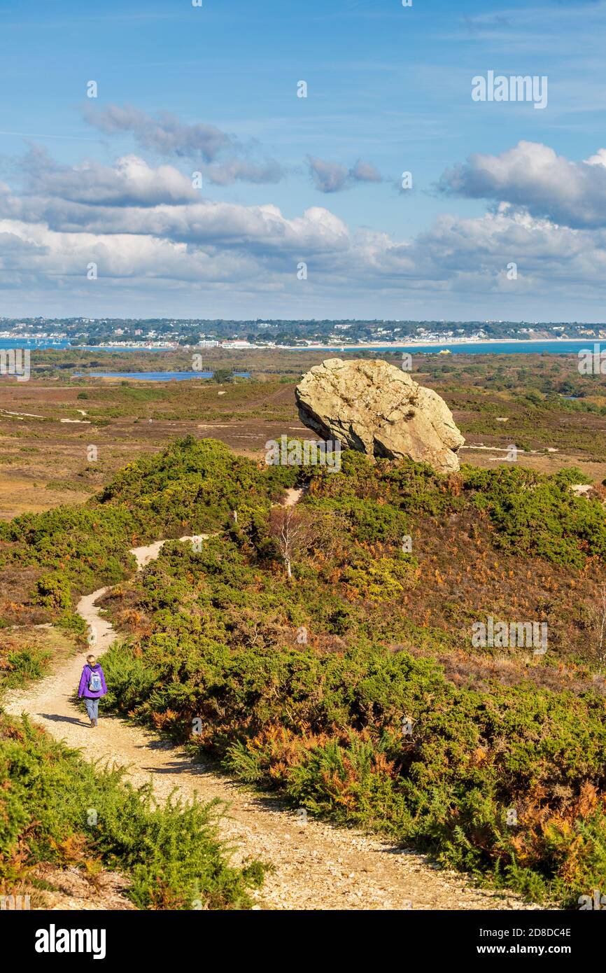 Studland beach isle purbeck uk hi-res stock photography and images - Alamy