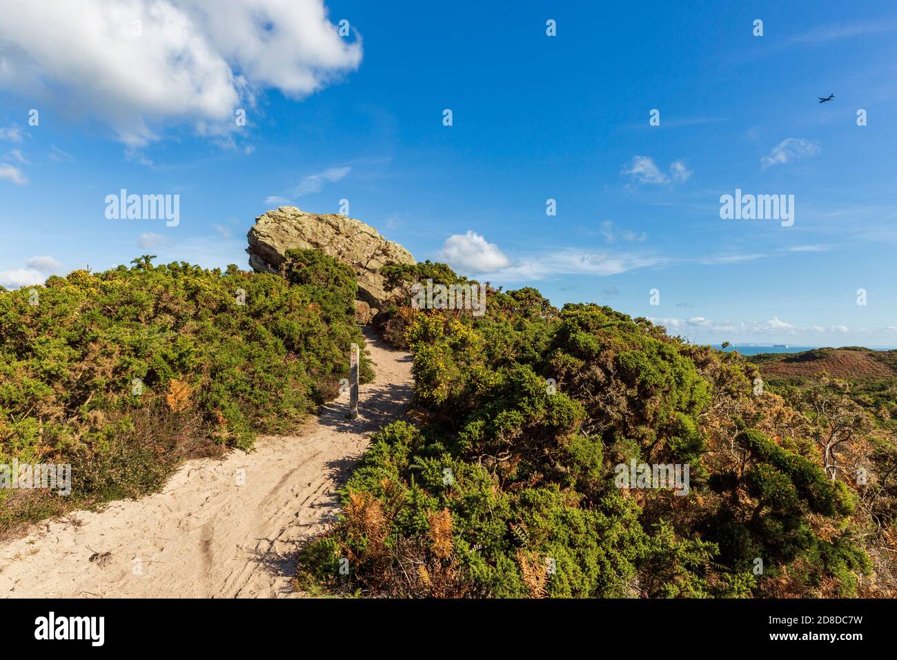 Studland dorset hi-res stock photography and images - Alamy
