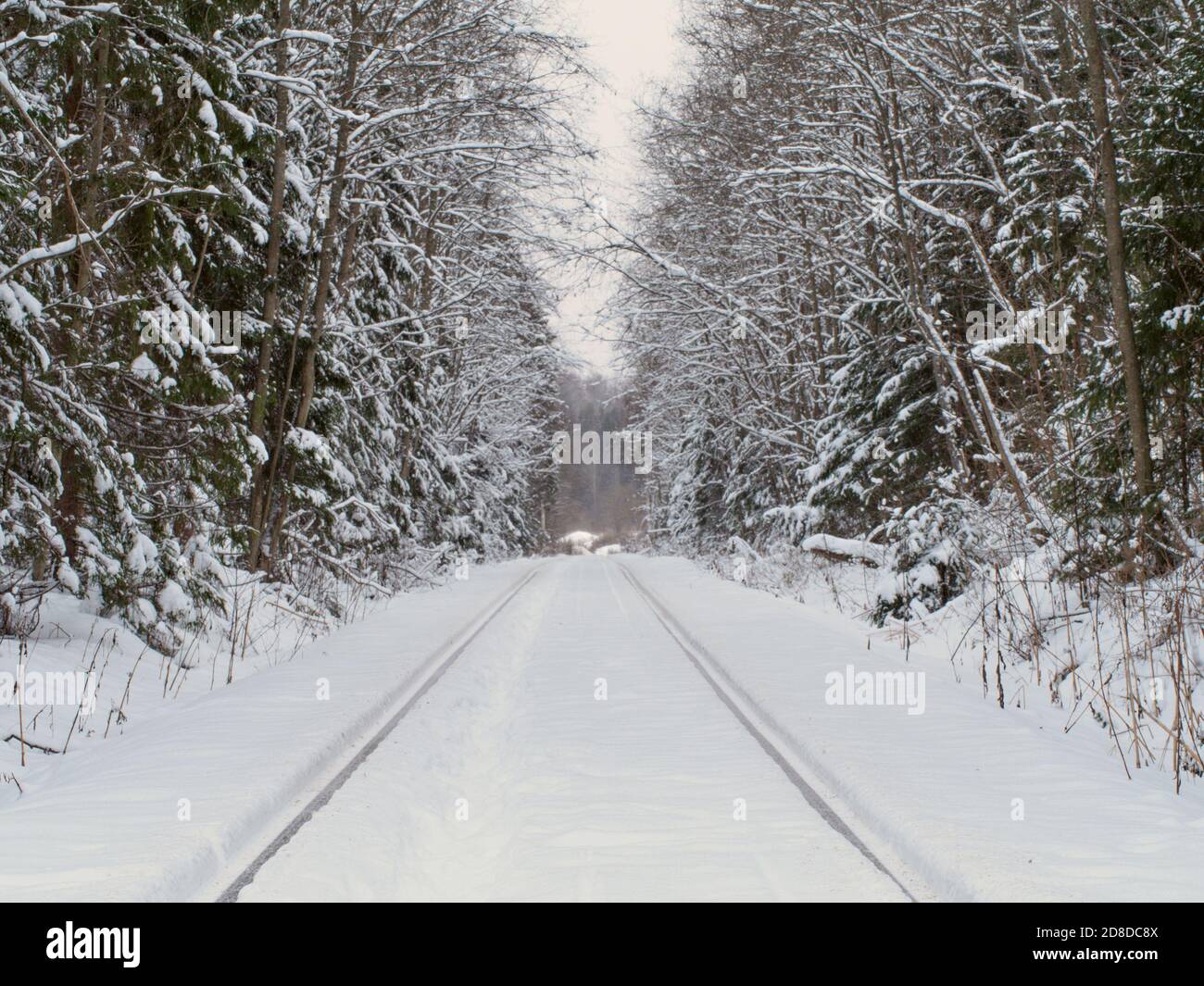 Railroad in the snowy forest, arctic railway path Stock Photo - Alamy
