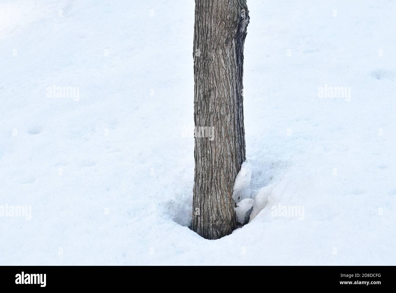 Wide snowfield hi-res stock photography and images - Alamy