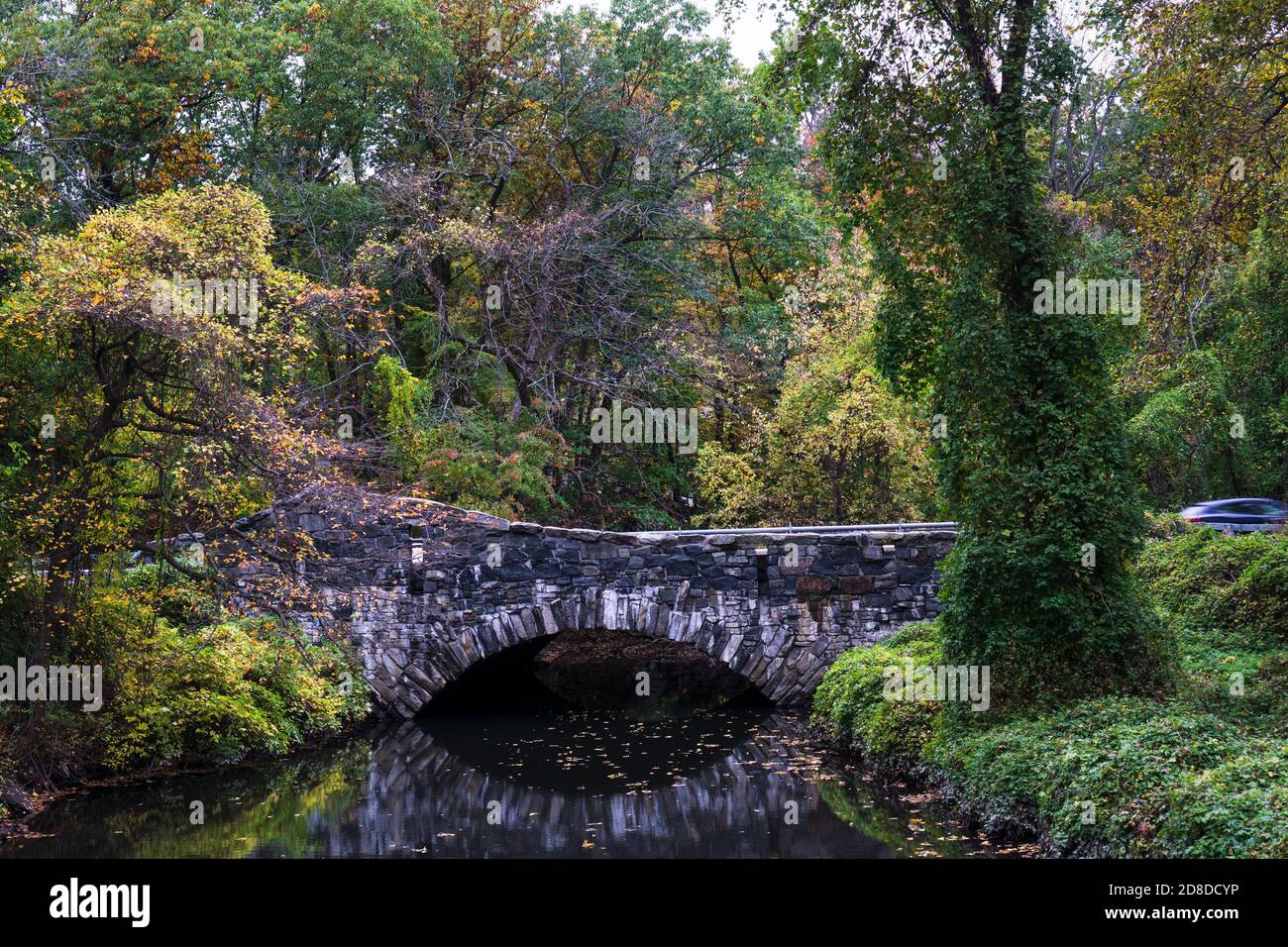 Stonebridge In Forest