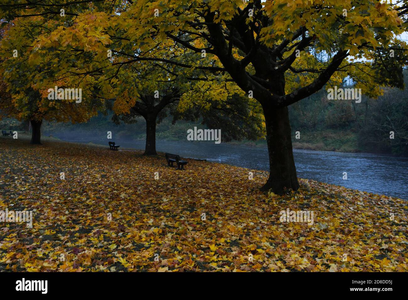 Ribble valley autumn hi-res stock photography and images - Alamy