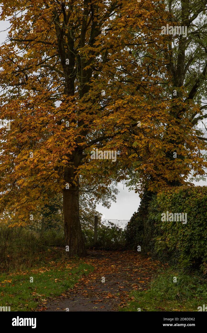 Ribble valley autumn hi-res stock photography and images - Alamy
