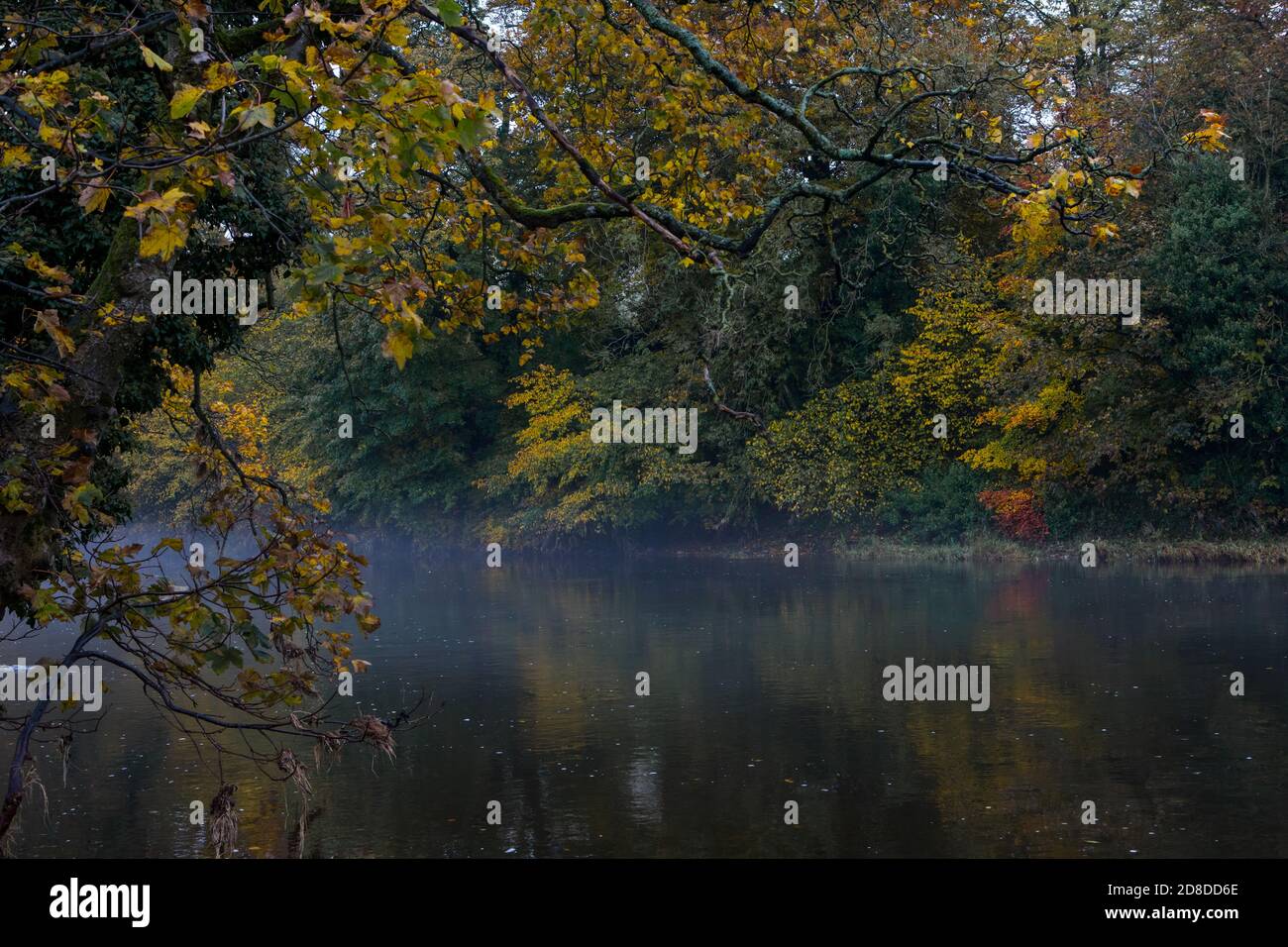 Ribble valley autumn hi-res stock photography and images - Alamy