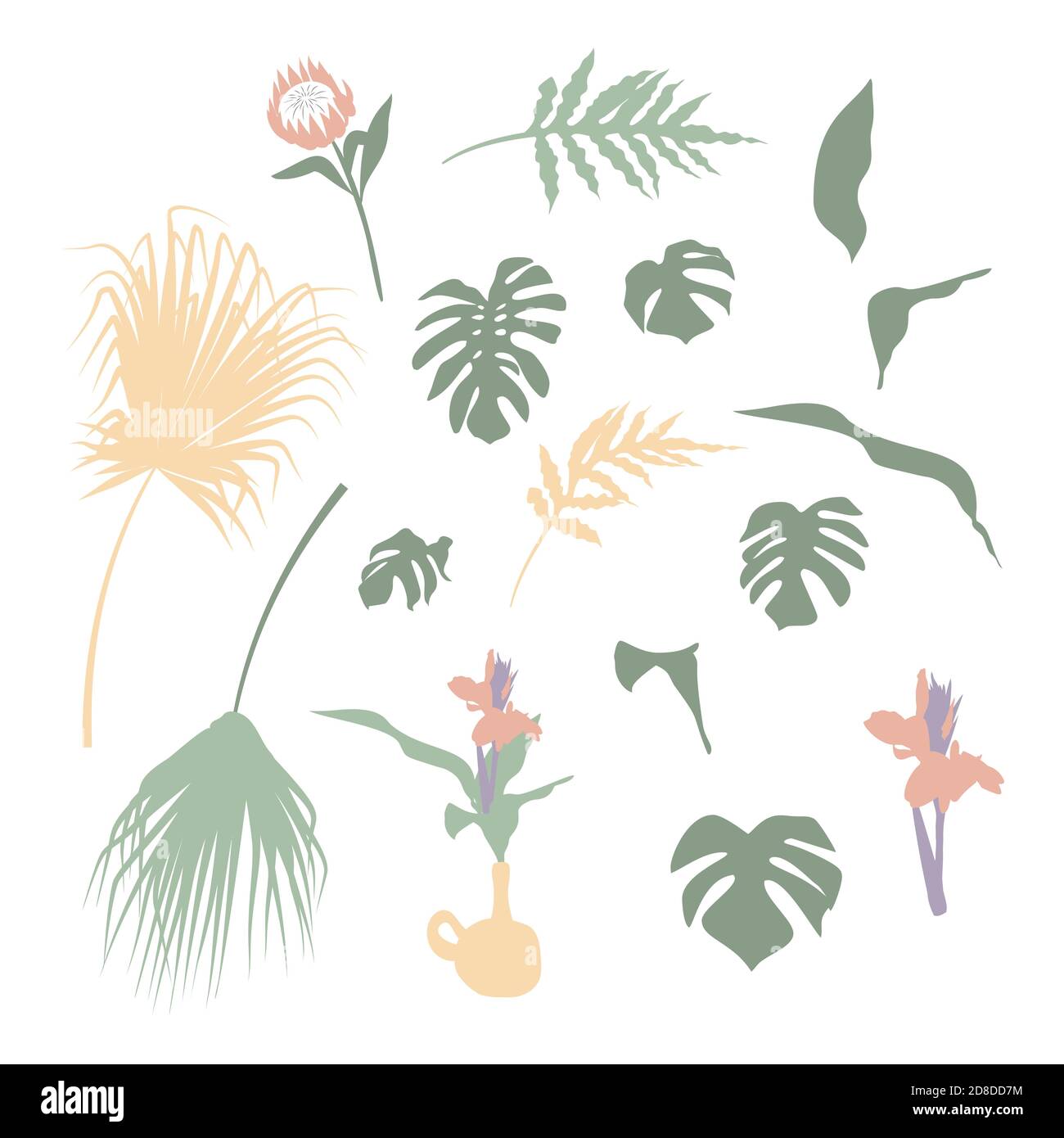 Set of boho tropical house plants, branches, flowers and leaves. Flat ...