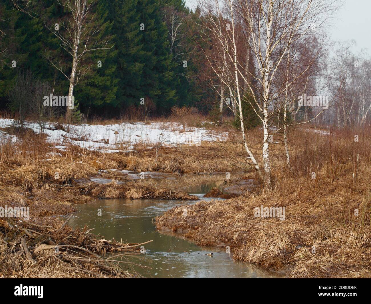 Early spring river Stock Photo - Alamy