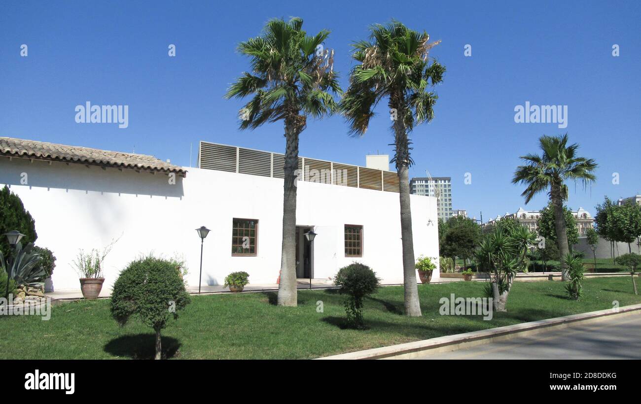 Baku, Azerbaijan, July 5 2020 : Palm trees in a green park Stock Photo ...