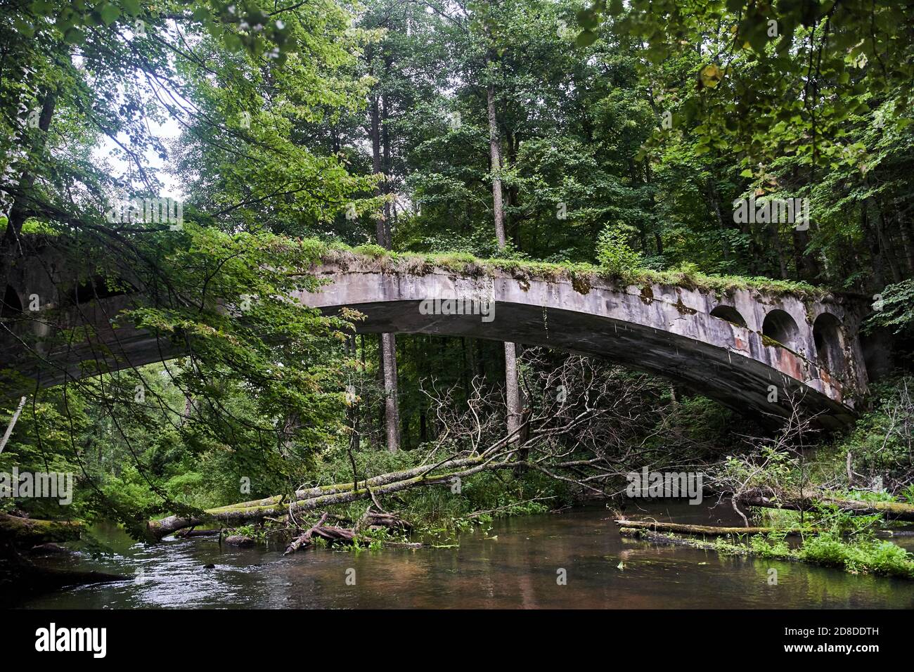 Old German bridge. The bridge of the Rominten Forest. Kaliningrad ...