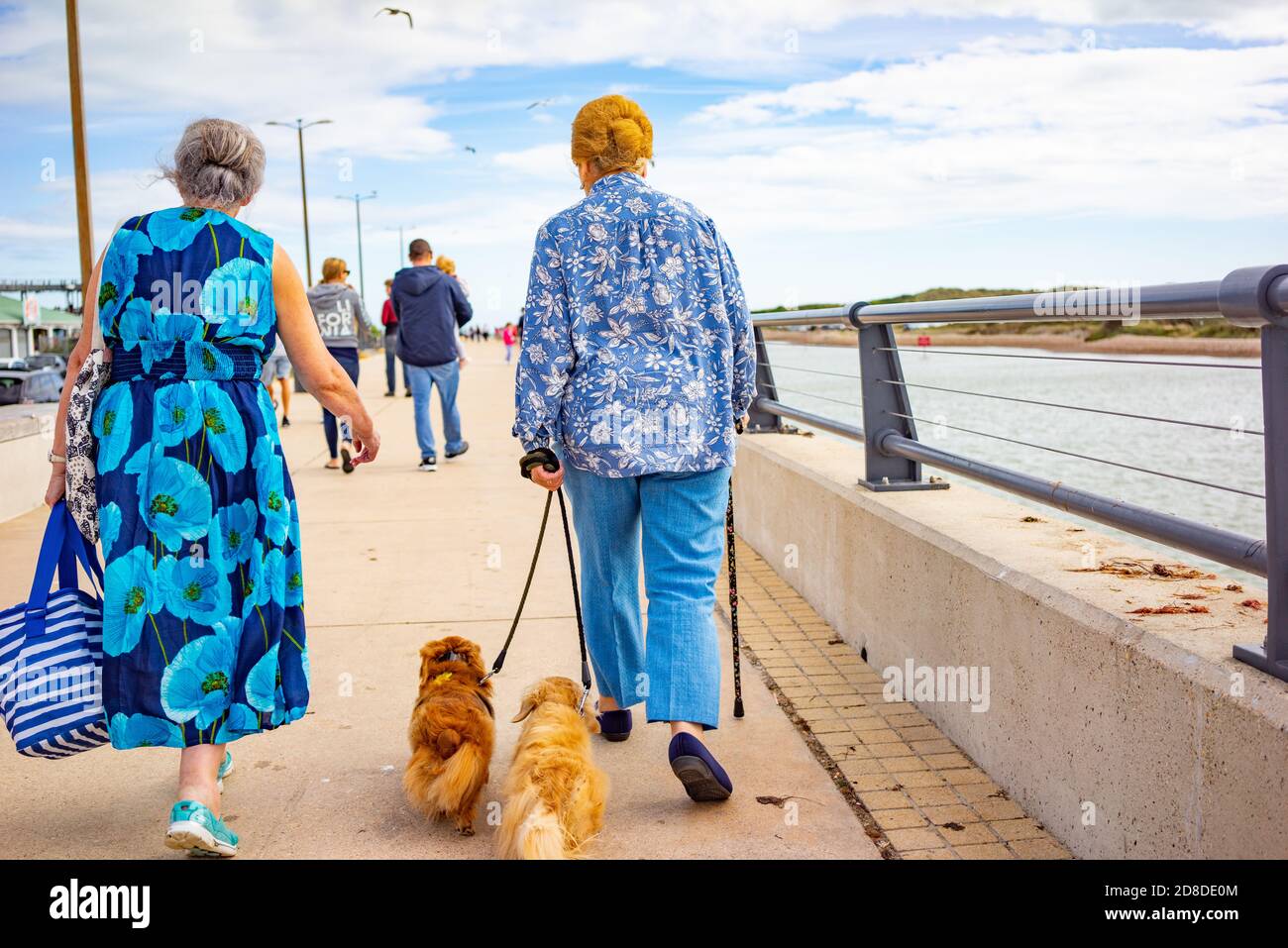 Elderly women walking with dog hi-res stock photography and images - Alamy