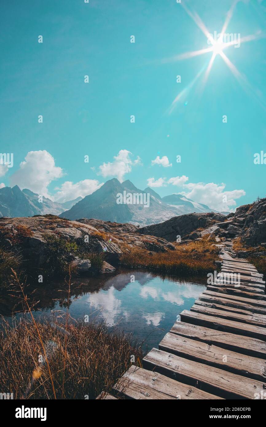 Vertical shot of a wooden passage over a reflective small lake and a ...