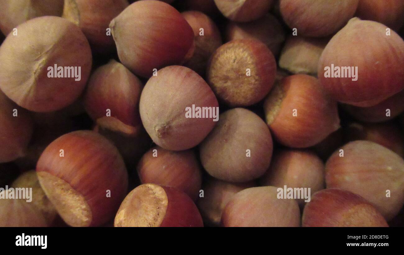 Close up of a hazelnuts. Food background, photo wallpaper Stock Photo ...